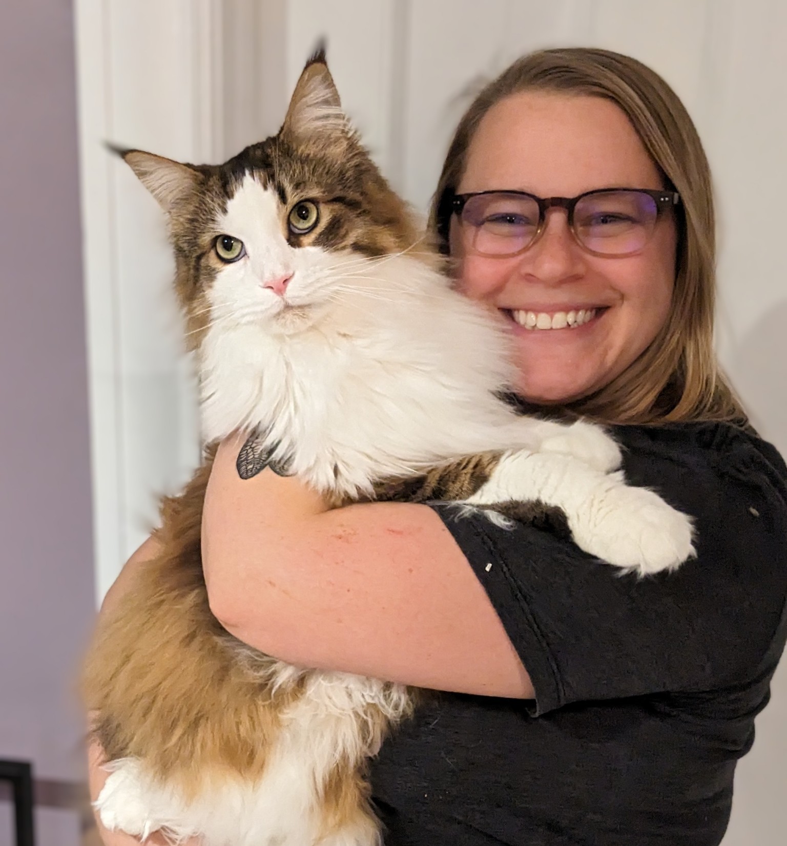 Meet the Team - Canfield Vet, Dog & Cat Hospital